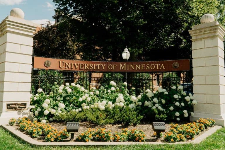 What is Minneapolis Known For? (19 Things to Discover About the City of ...