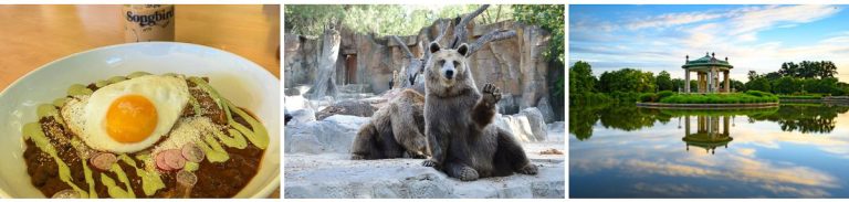 Weekend Getaway St. Louis: The Perfect 3 Day Itinerary 2024 - Say Yes ...